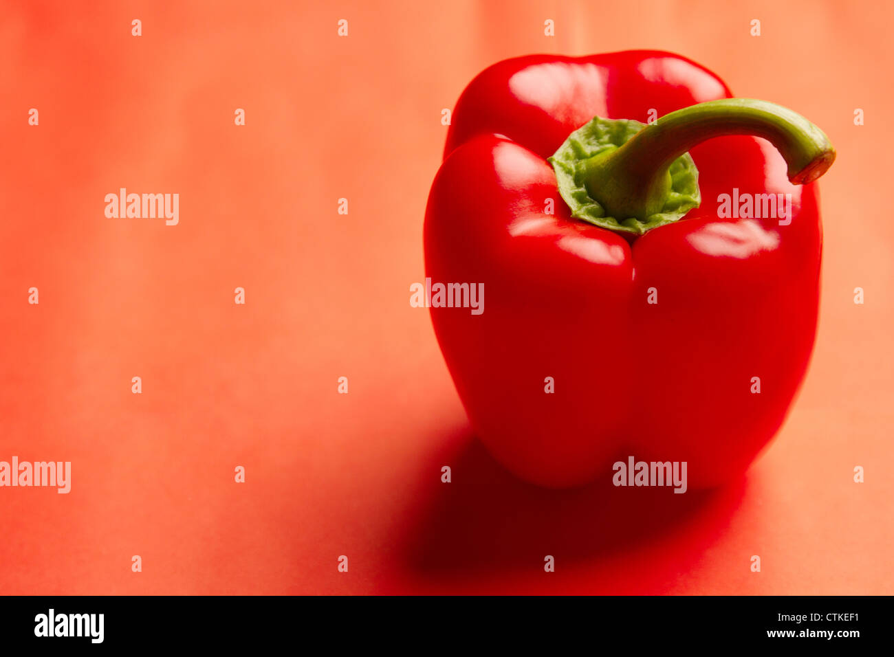 A single red pepper placed on a bright red background Stock Photo - Alamy
