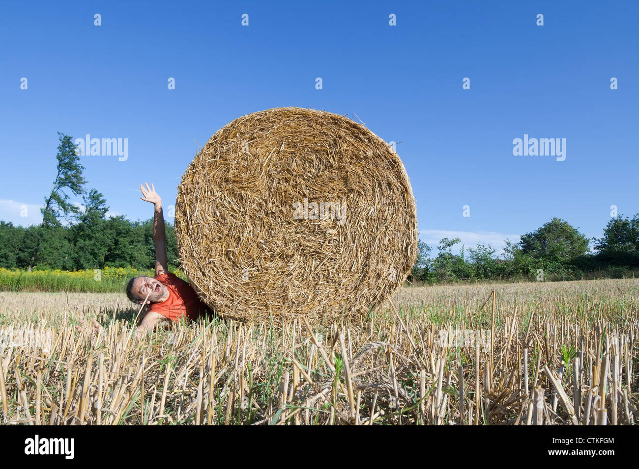 Panicked man being crushed by a rolling Hay bale Stock Photo - Alamy