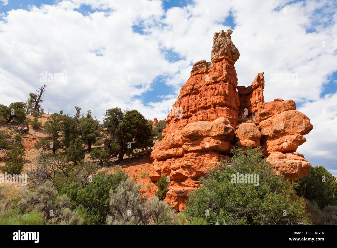 Red butte canyon hi-res stock photography and images - Alamy