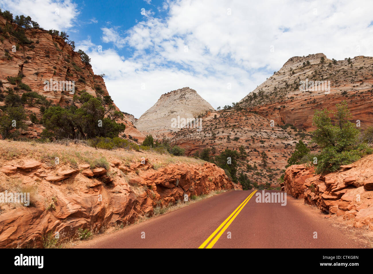 Road through zion hi-res stock photography and images - Alamy