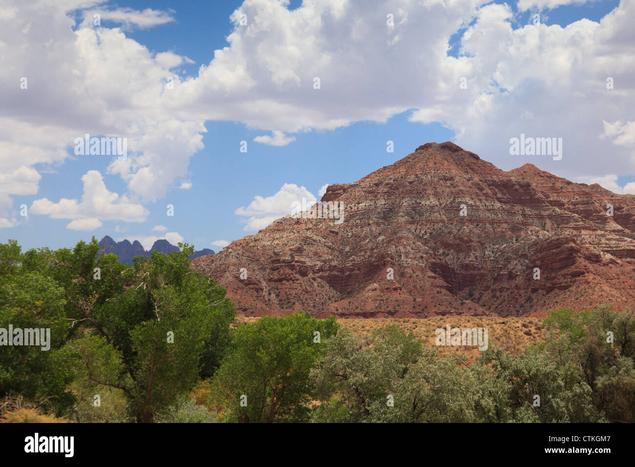 Beautiful desertic landscape of utah in the USA Stock Photo - Alamy