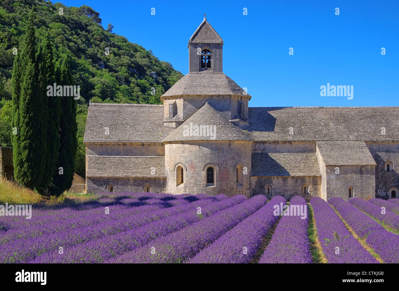 Lavender field and senanque abbey hi-res stock photography and images ...