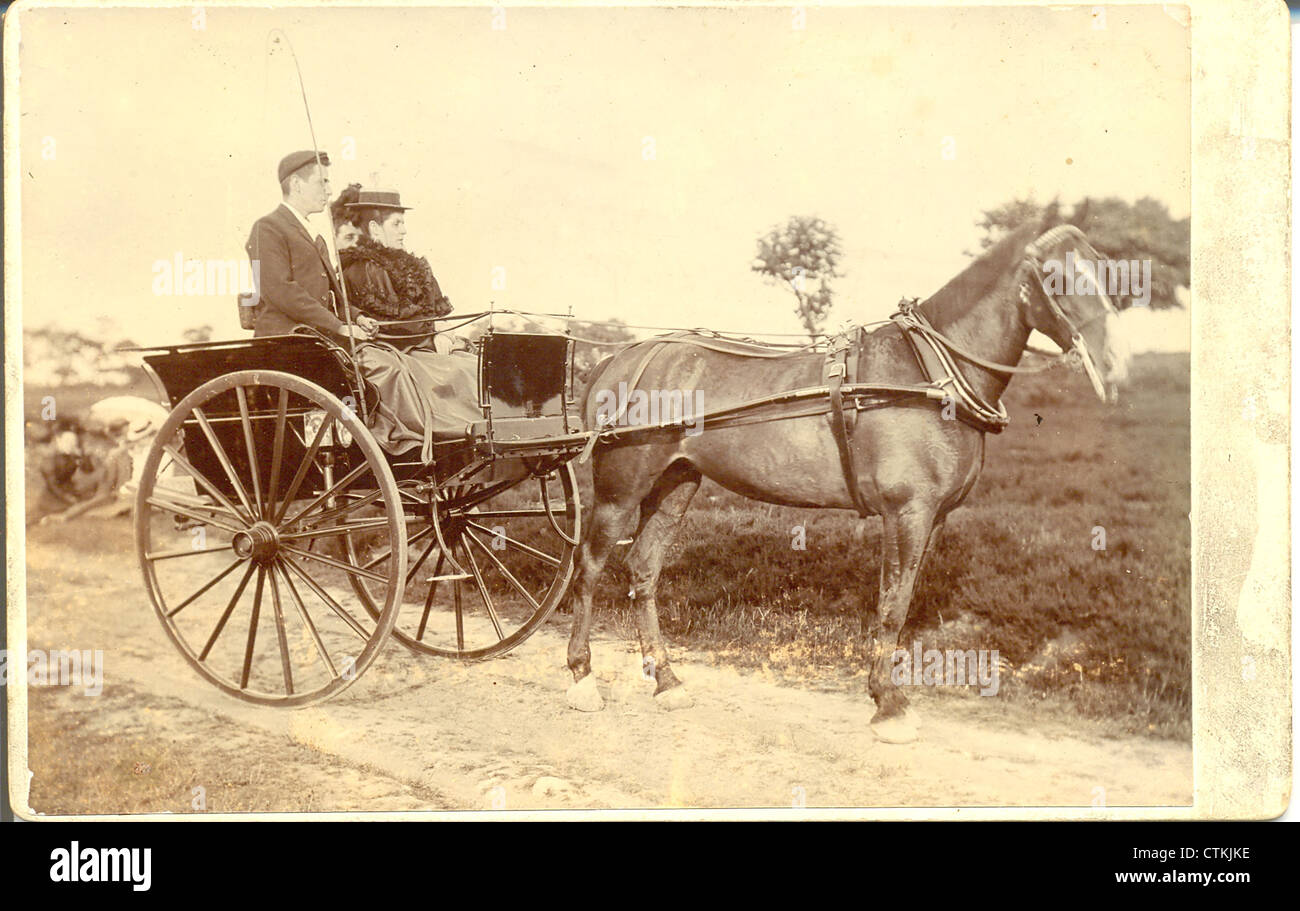 Cabinet photograph of gig with two passengers on a country road circa ...
