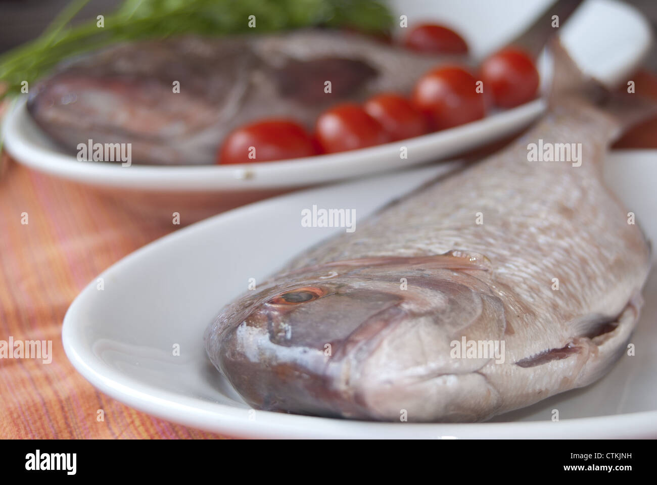 Fish recipes. The dentex is a delicious fish of the Italian cuisine ...