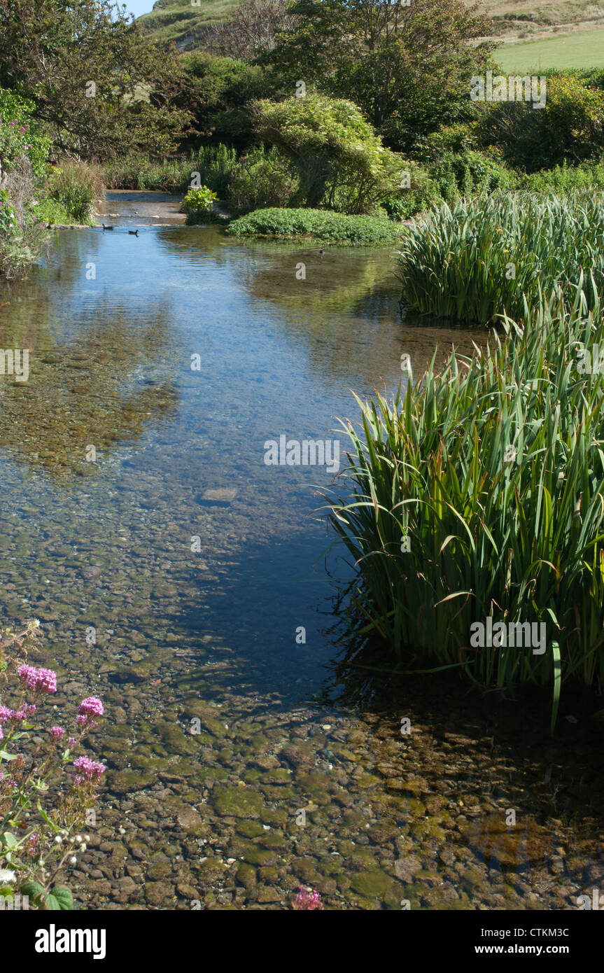 Shallow stream with gravel hi-res stock photography and images - Alamy