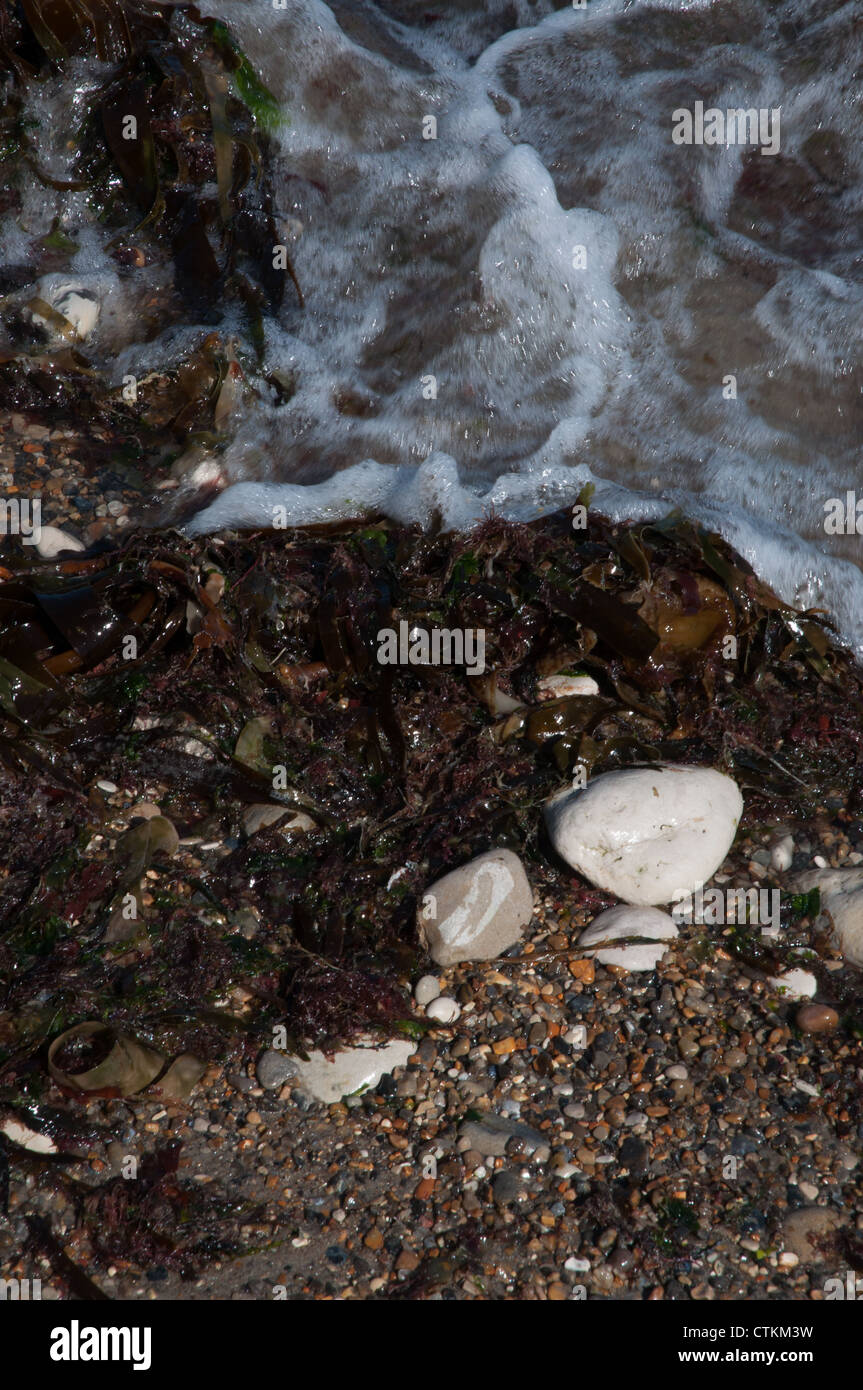 seawater over pebbles seaweed shingle Stock Photo - Alamy