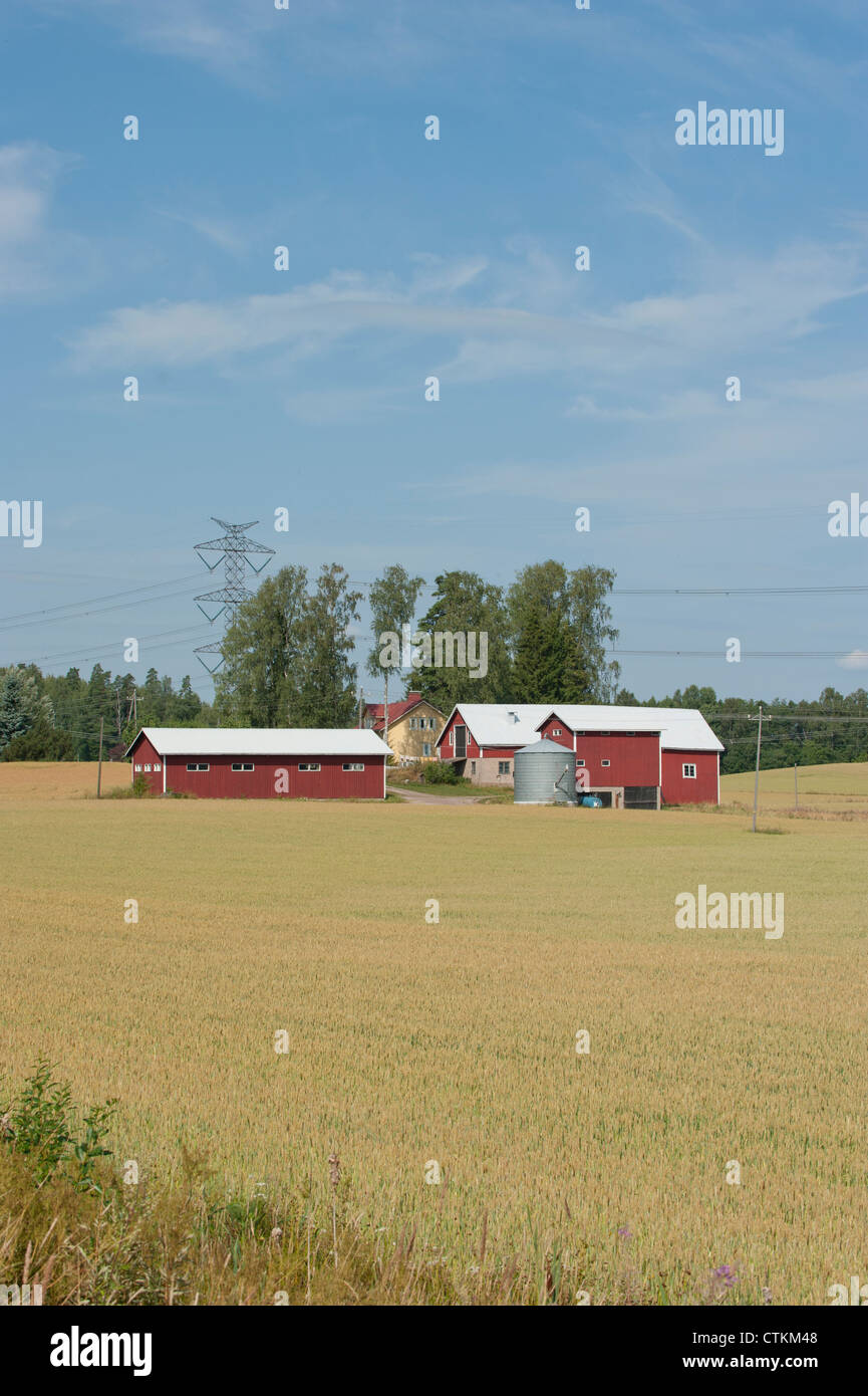 Typical Finnish farm house in the middle of a wheat field Stock Photo ...