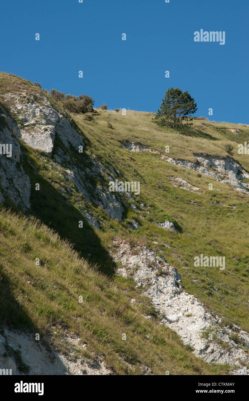 coastal cliffs rock forms Jurassic Stock Photo - Alamy