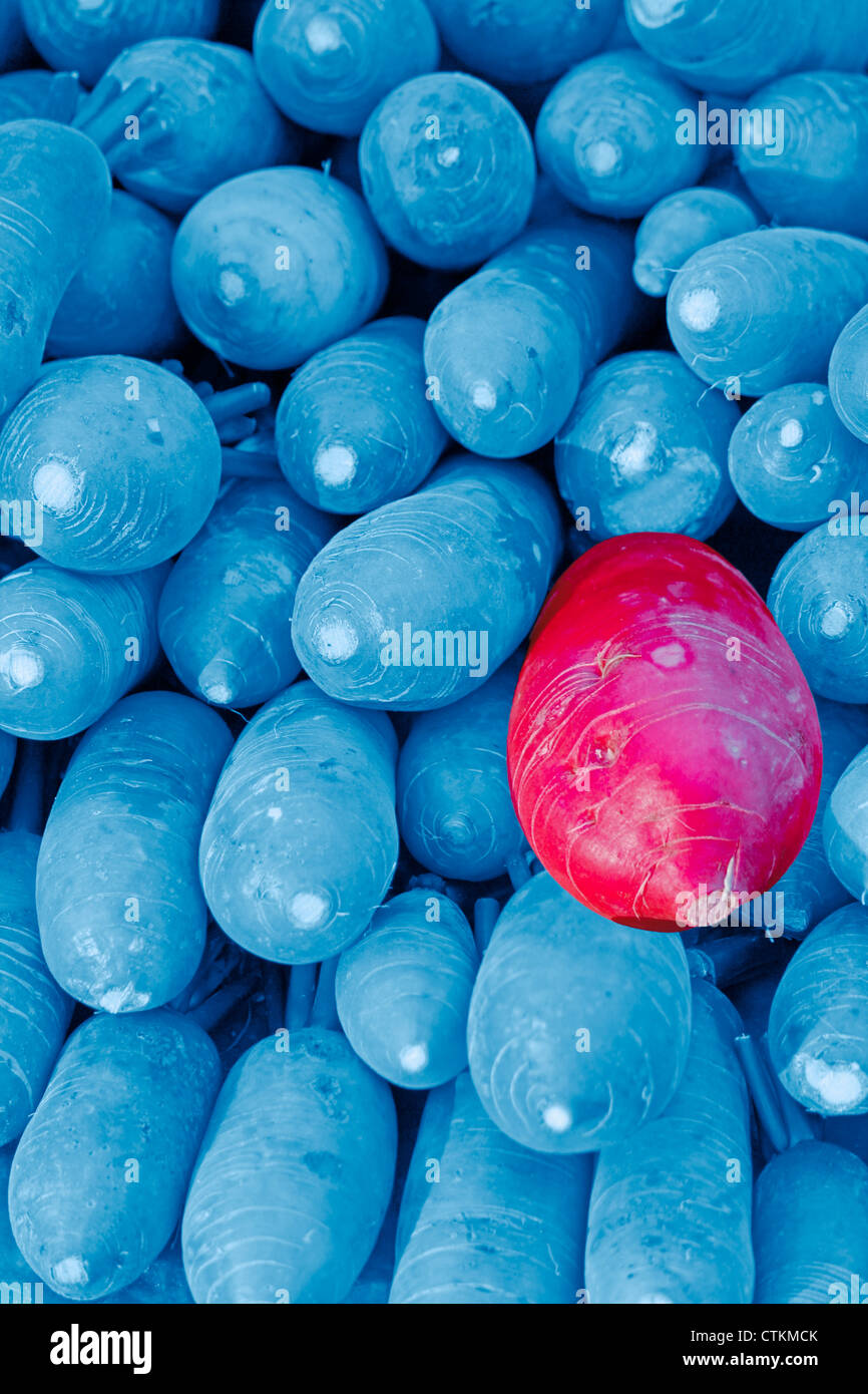 Full frame view of Raddish, India Stock Photo - Alamy