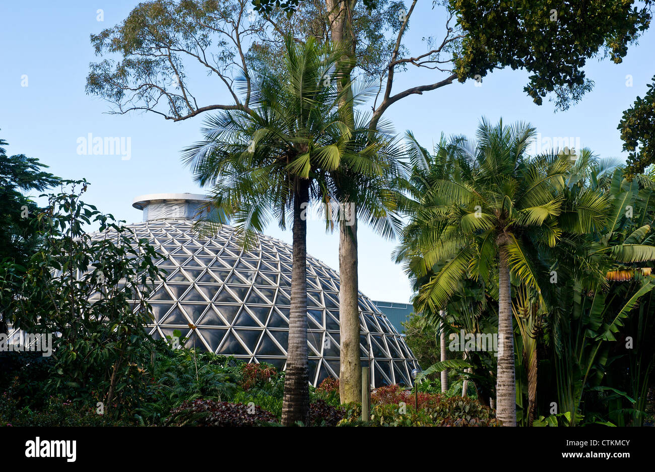 The Brisbane Botanic Gardens in Queensland Stock Photo - Alamy