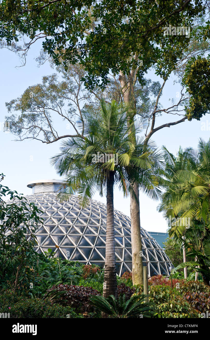 The Tropical Dome seen through trees in the Brisbane Botanic Gardens in ...