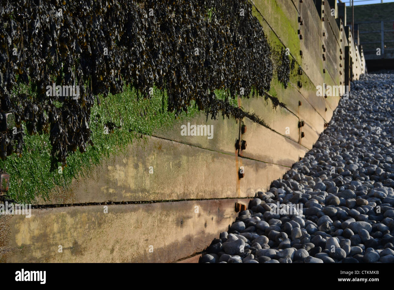 Shingle beach and groyne Stock Photo - Alamy