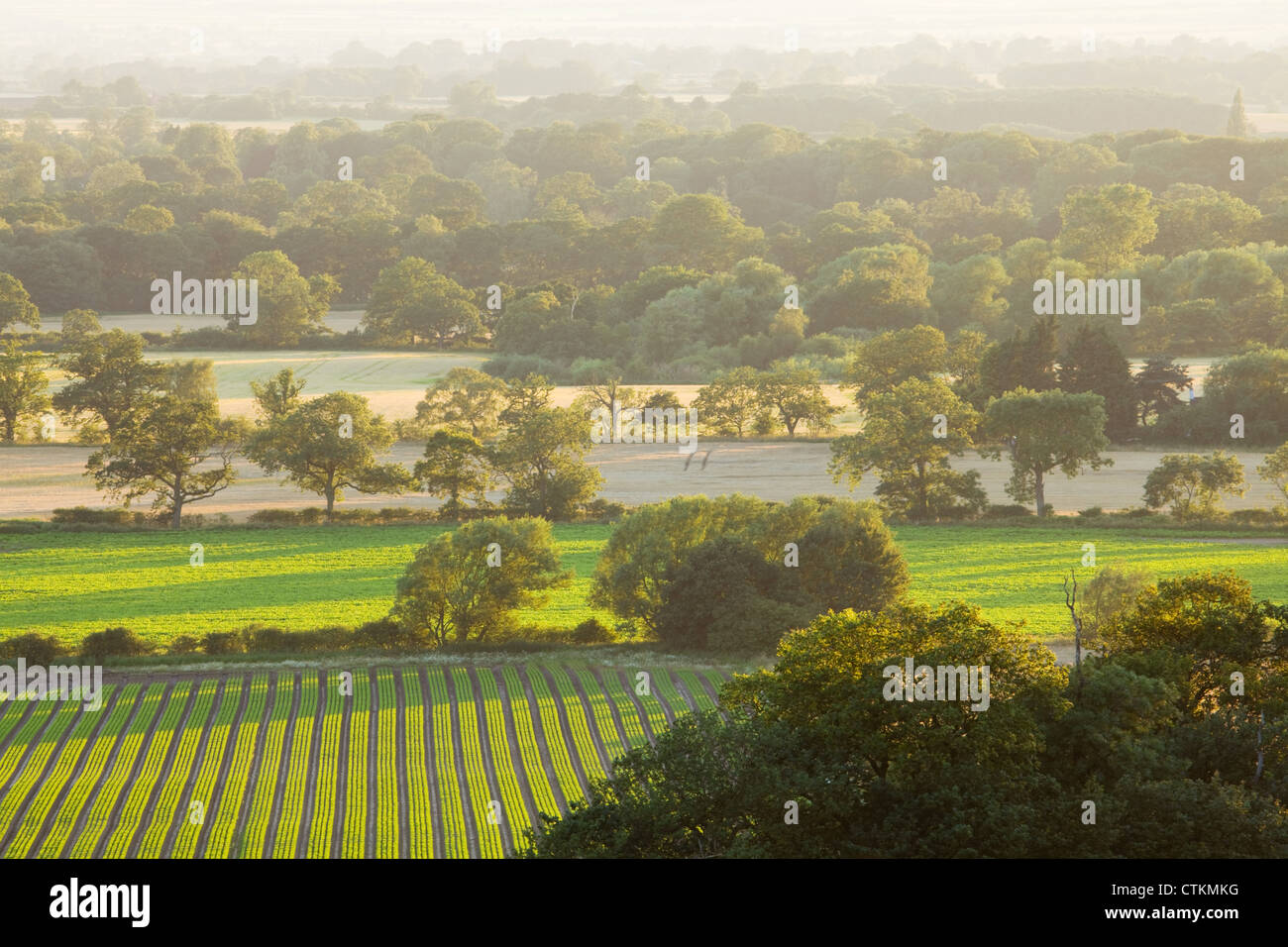 Nettleton hi-res stock photography and images - Alamy