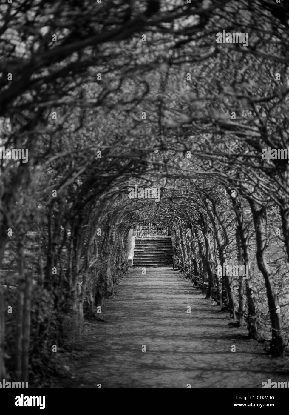 Arbour uk hi-res stock photography and images - Alamy