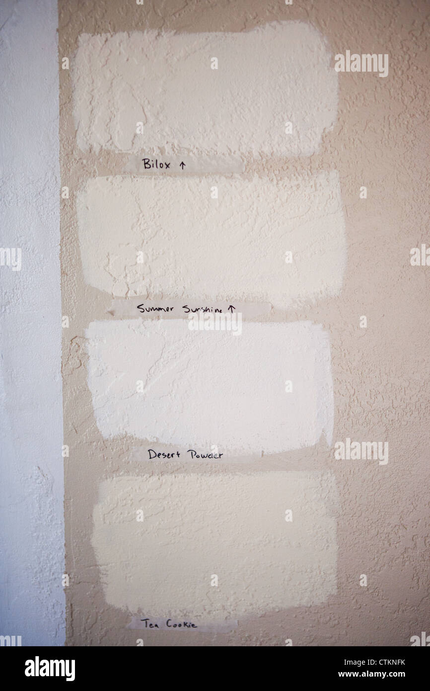 Trying out a variety of paint colors on a wall and labeling with ...