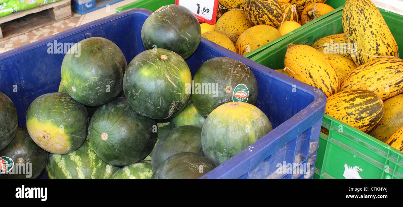 Fresh market produce of melons being displayed on a stall in turkey ...