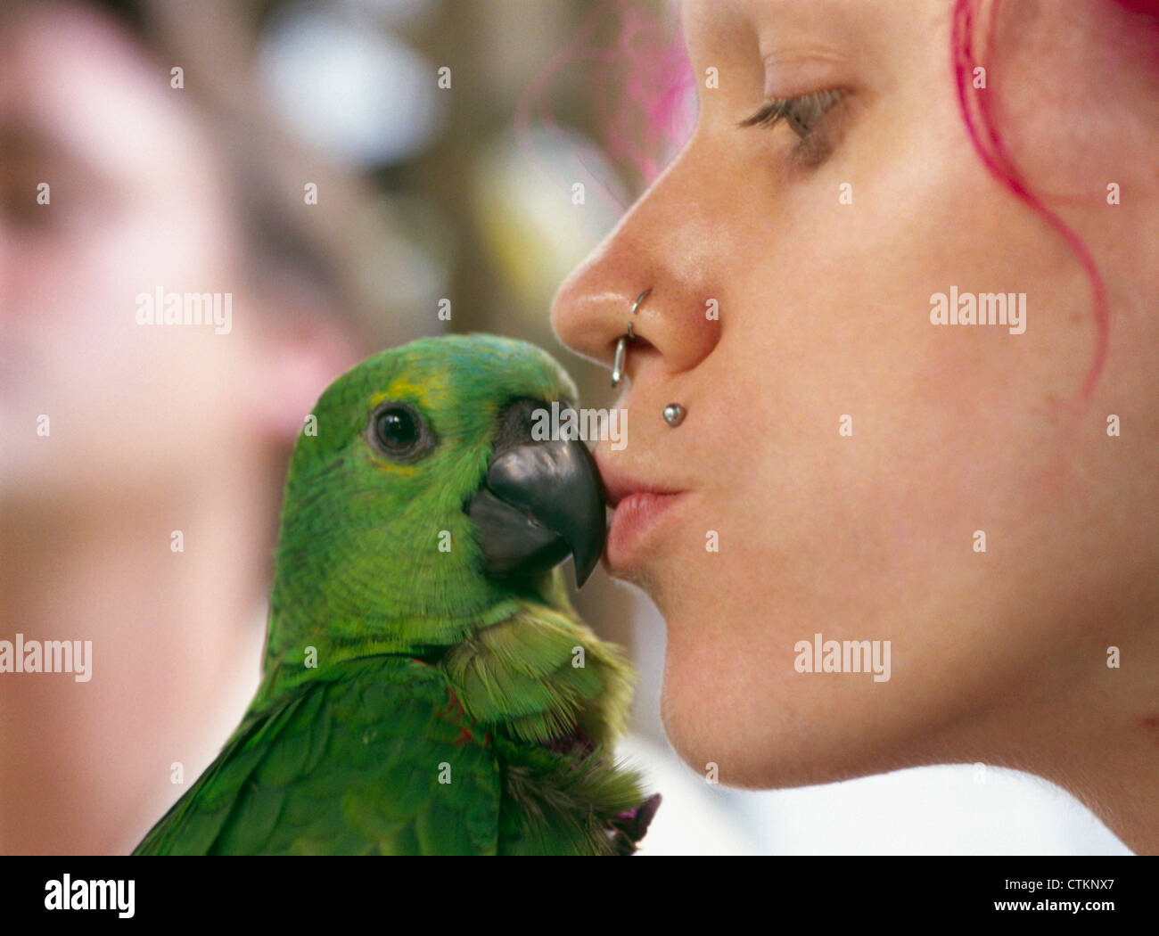 Person kissing pet parrot hi-res stock photography and images - Alamy