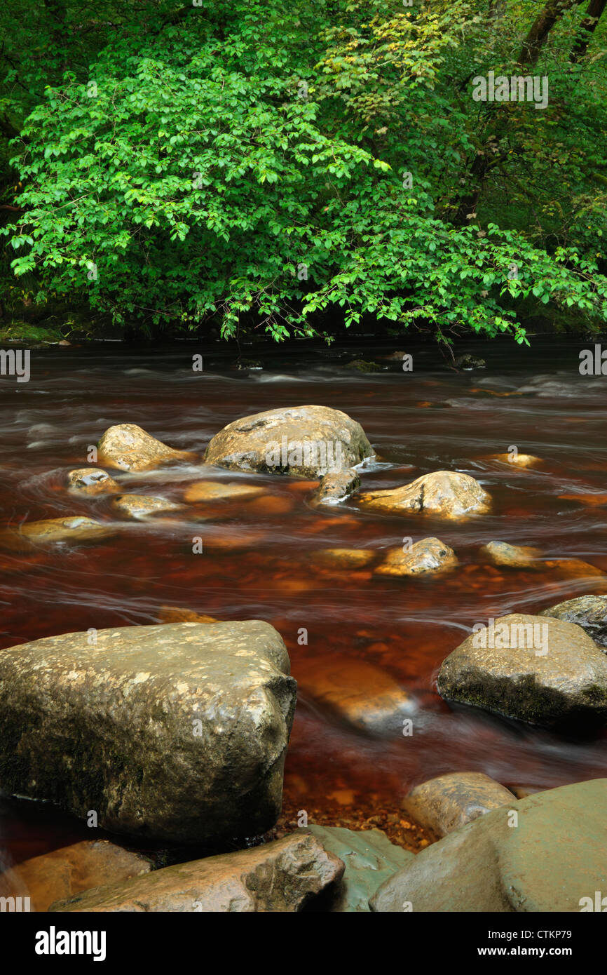The River Twiss in summer near Ingleton in the Yorkshire Dales of ...