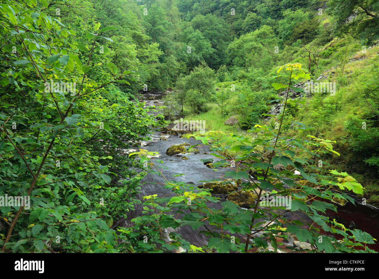 The River Twiss in summer near Ingleton in the Yorkshire Dales of ...