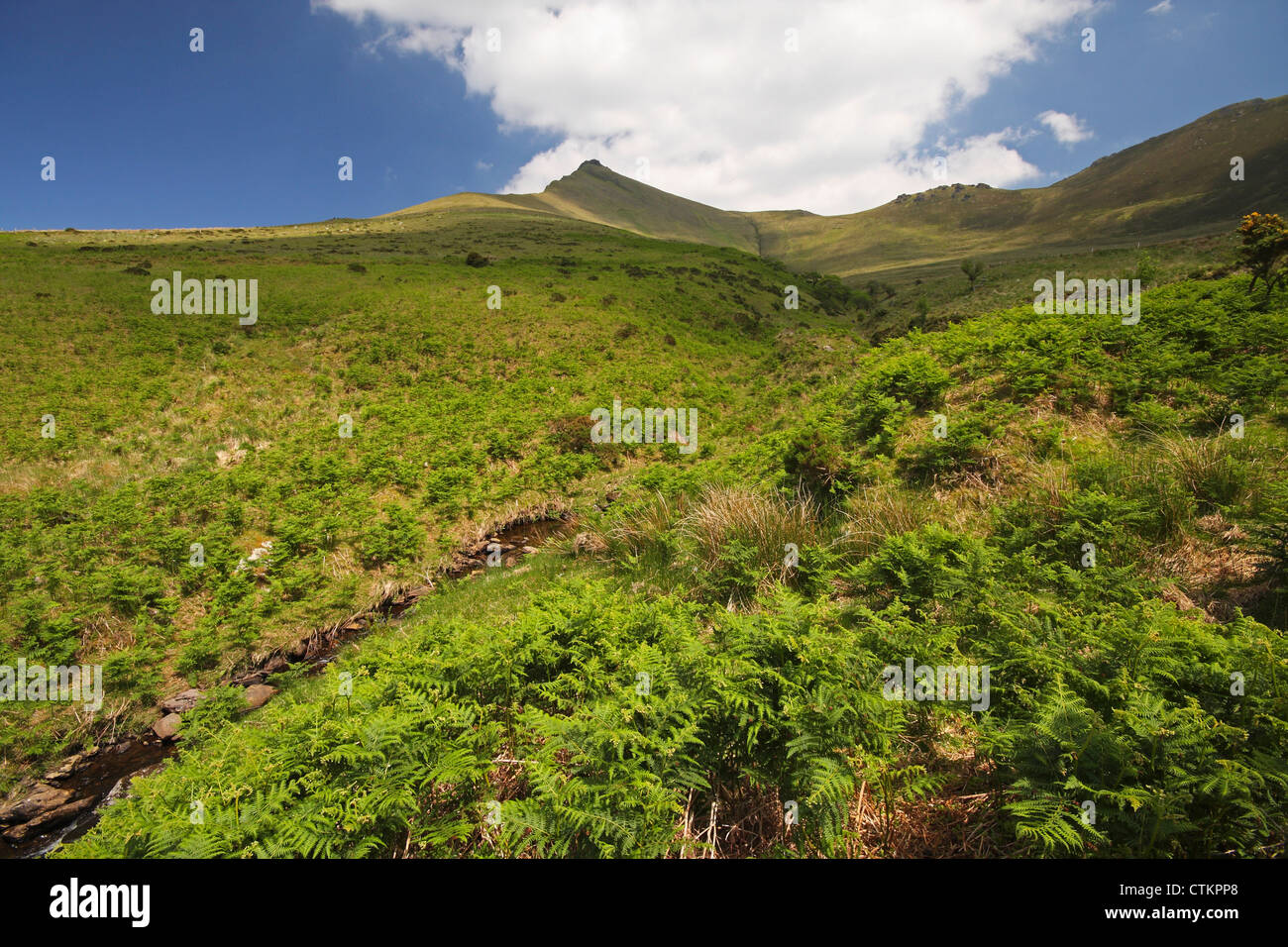 Caherconree Peak Between Aughils And Camp On The Dingle Peninsula ...