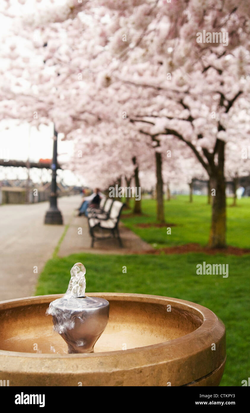 A close up of the free water fountains that are all over downtown ...