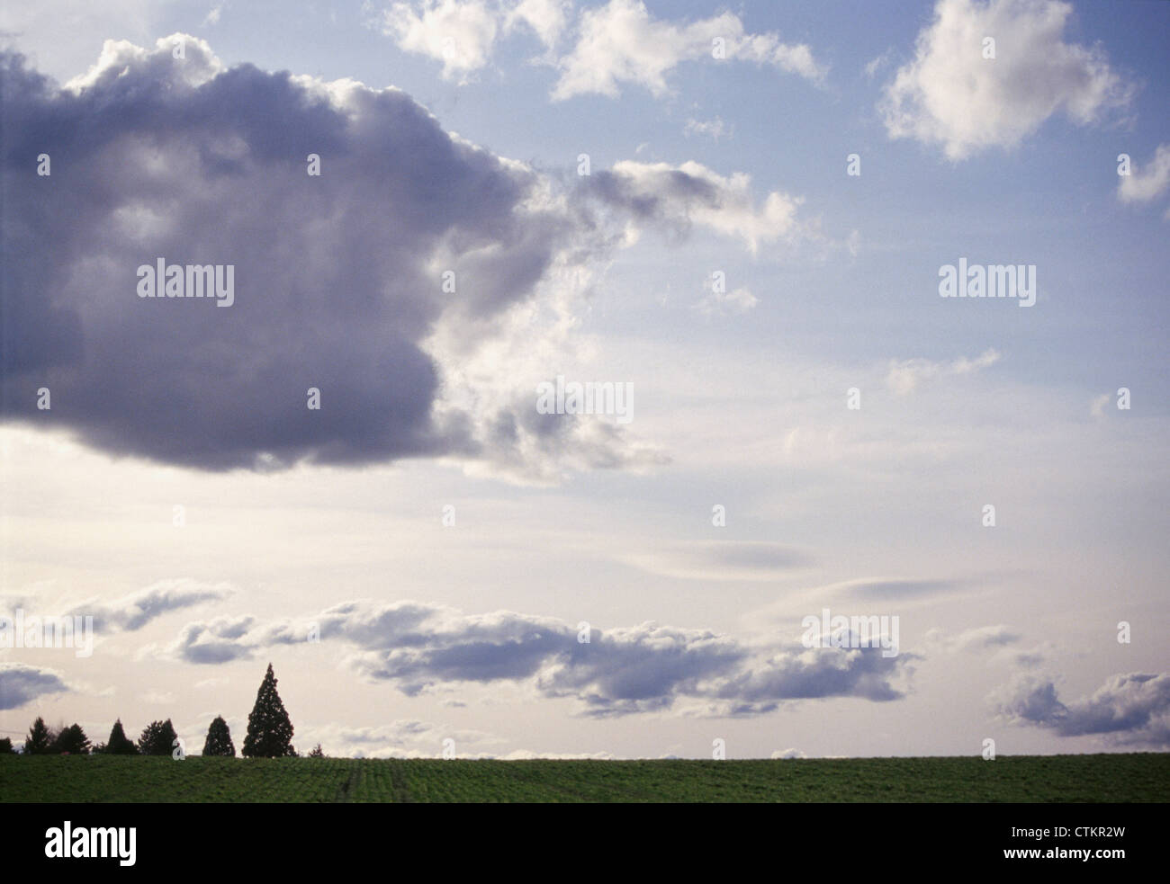 A horizon line with trees and big sky shot in Oregon Stock Photo - Alamy