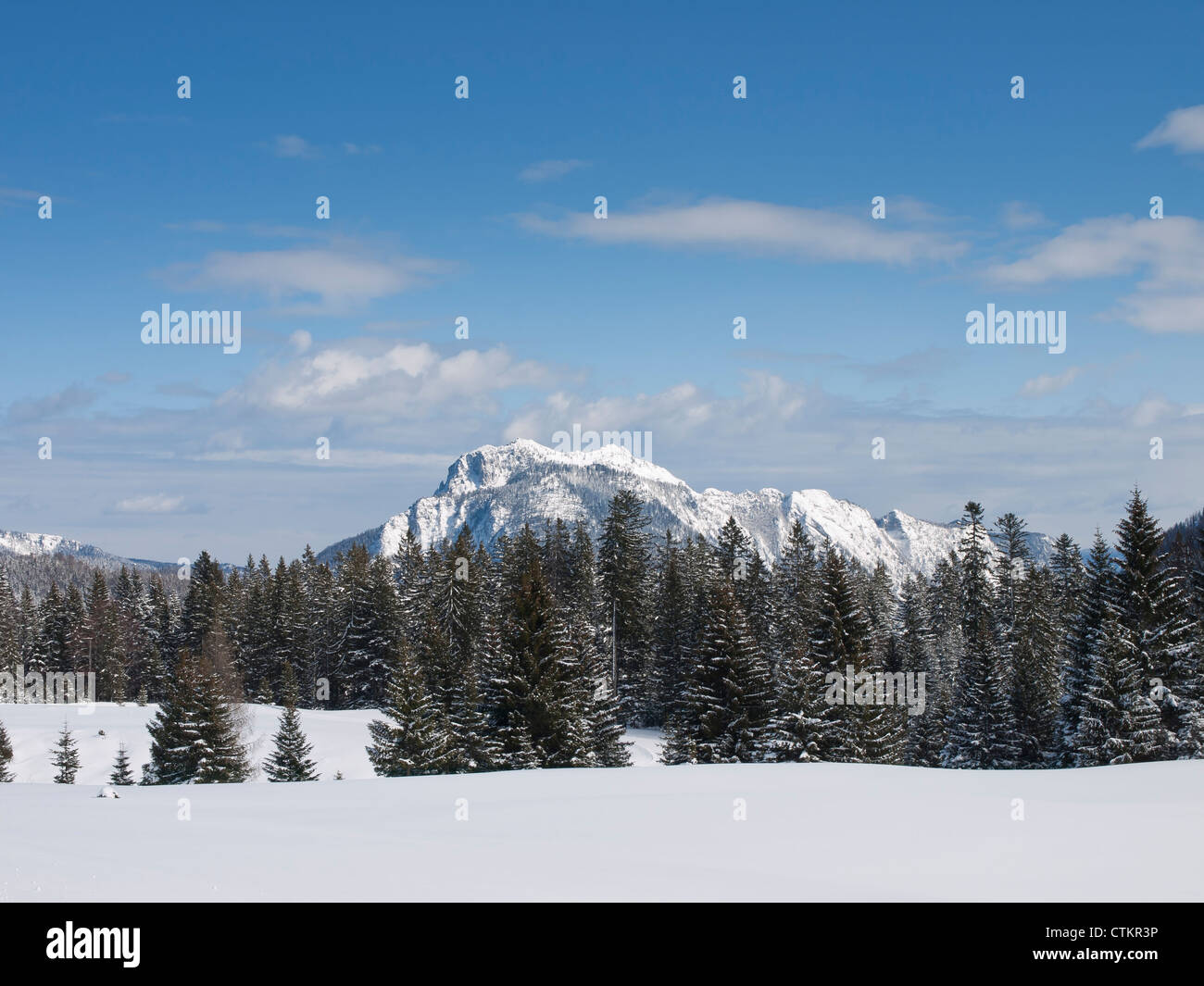 Panorama of snow-covered mountains and forest on the border between ...