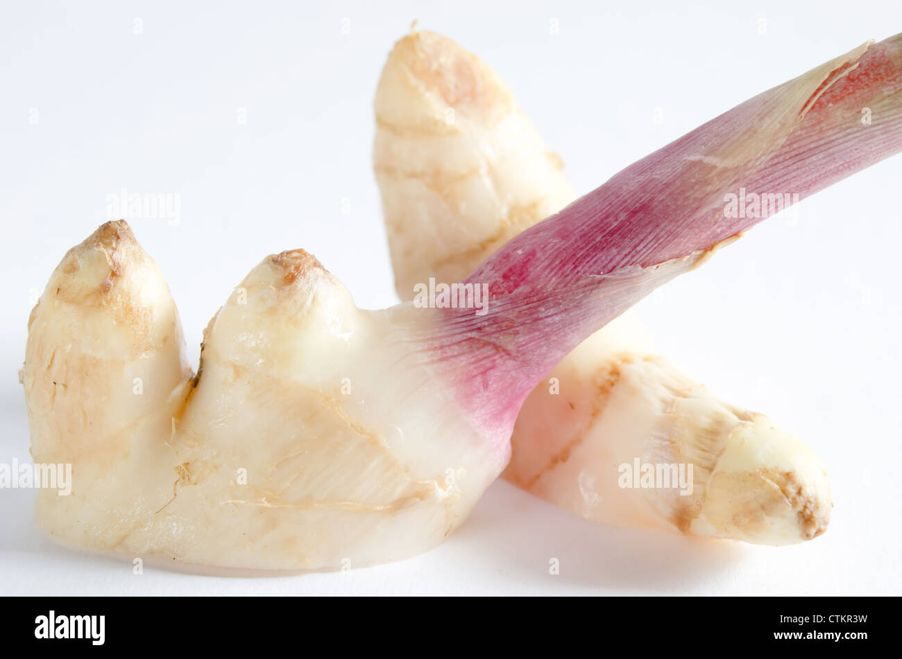 Ginger plant root hi-res stock photography and images - Alamy