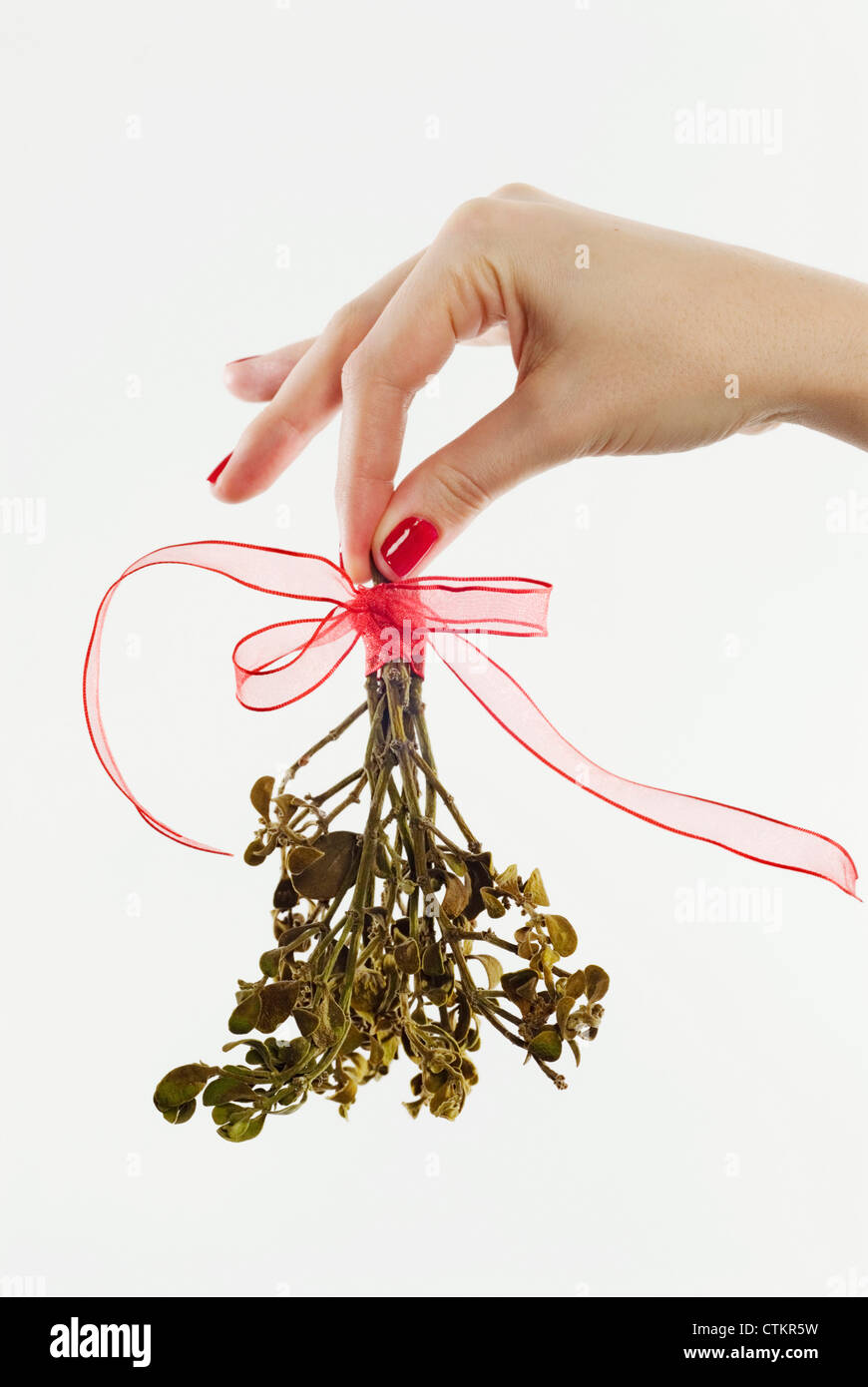 A woman's hand holding mistletoe Stock Photo - Alamy