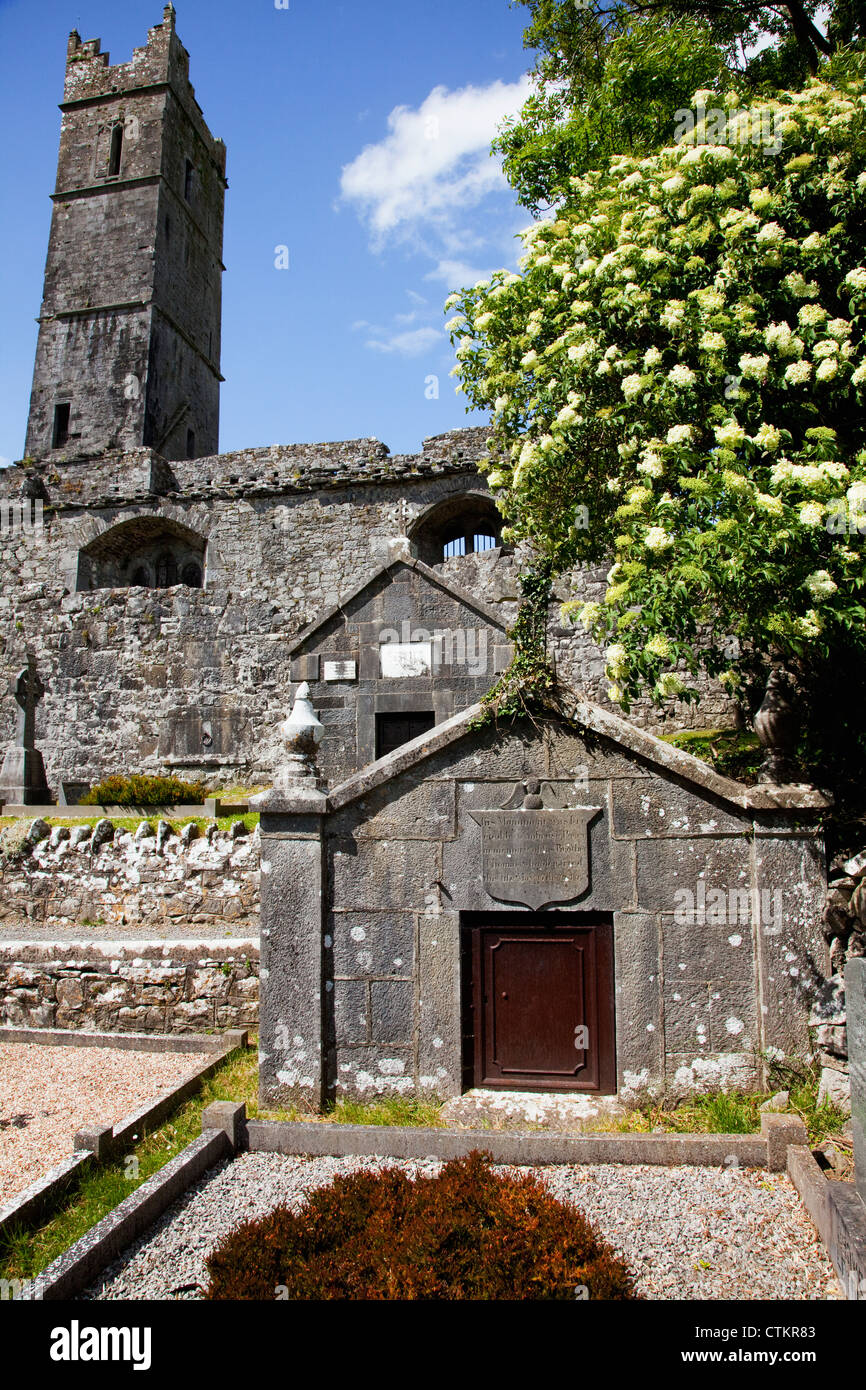 Quin Abbey; Quin County Clare, Ireland Stock Photo - Alamy