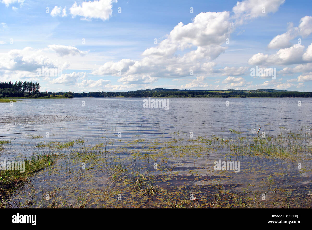 poulaphouca lake in blessington co wicklow ireland Stock Photo - Alamy