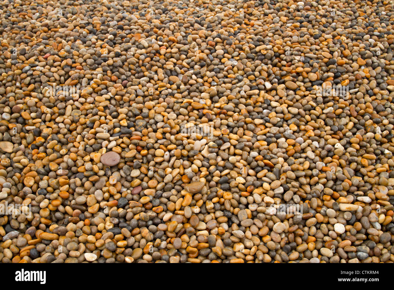 Pebbles on Chesil beach,Dorset,UK Stock Photo - Alamy