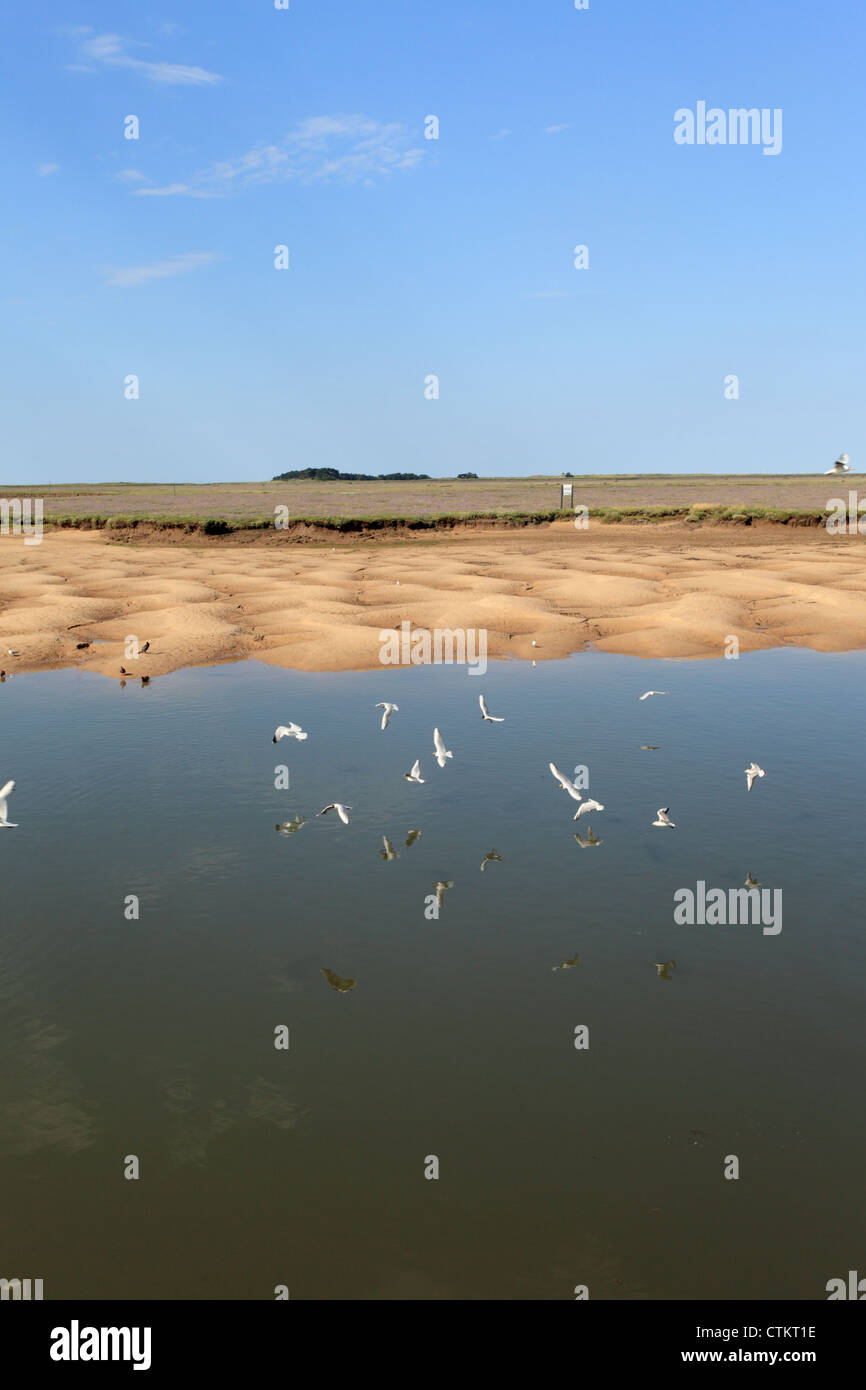 Coast feature hi-res stock photography and images - Alamy