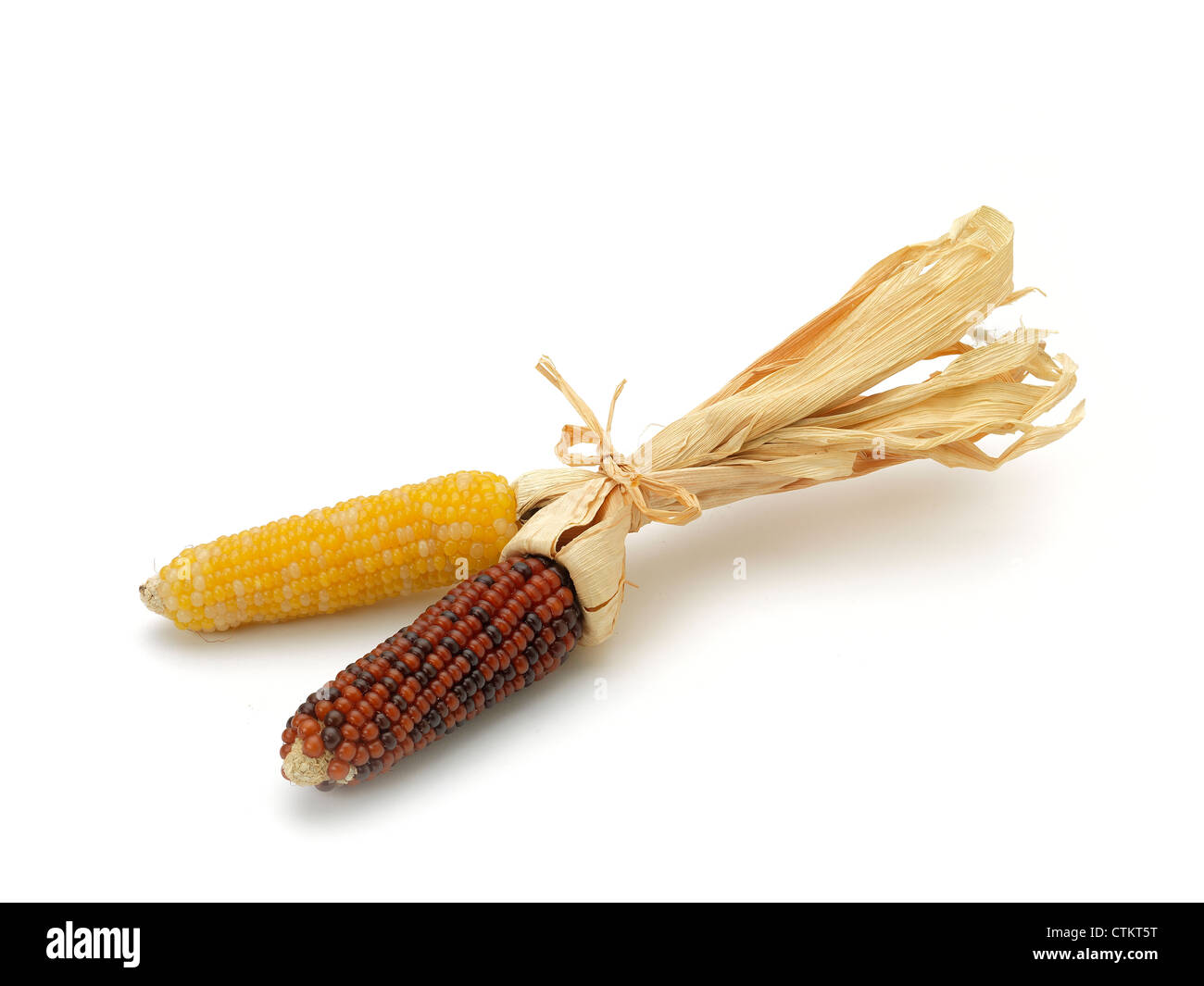 Red corn Cut Out Stock Images & Pictures - Alamy