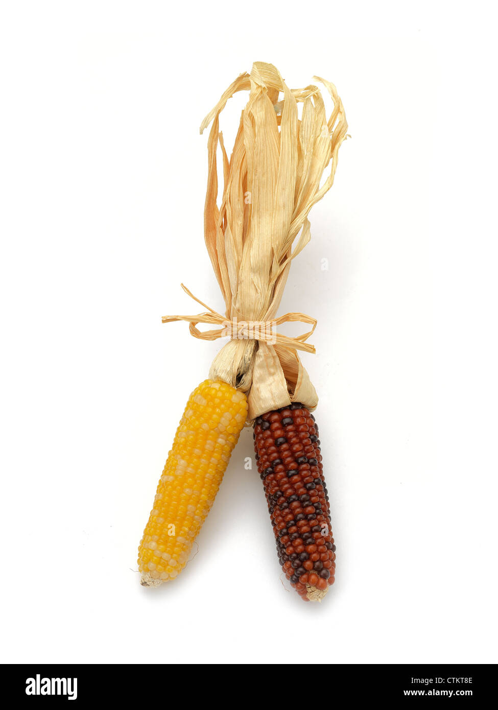 Red corn Cut Out Stock Images & Pictures - Alamy