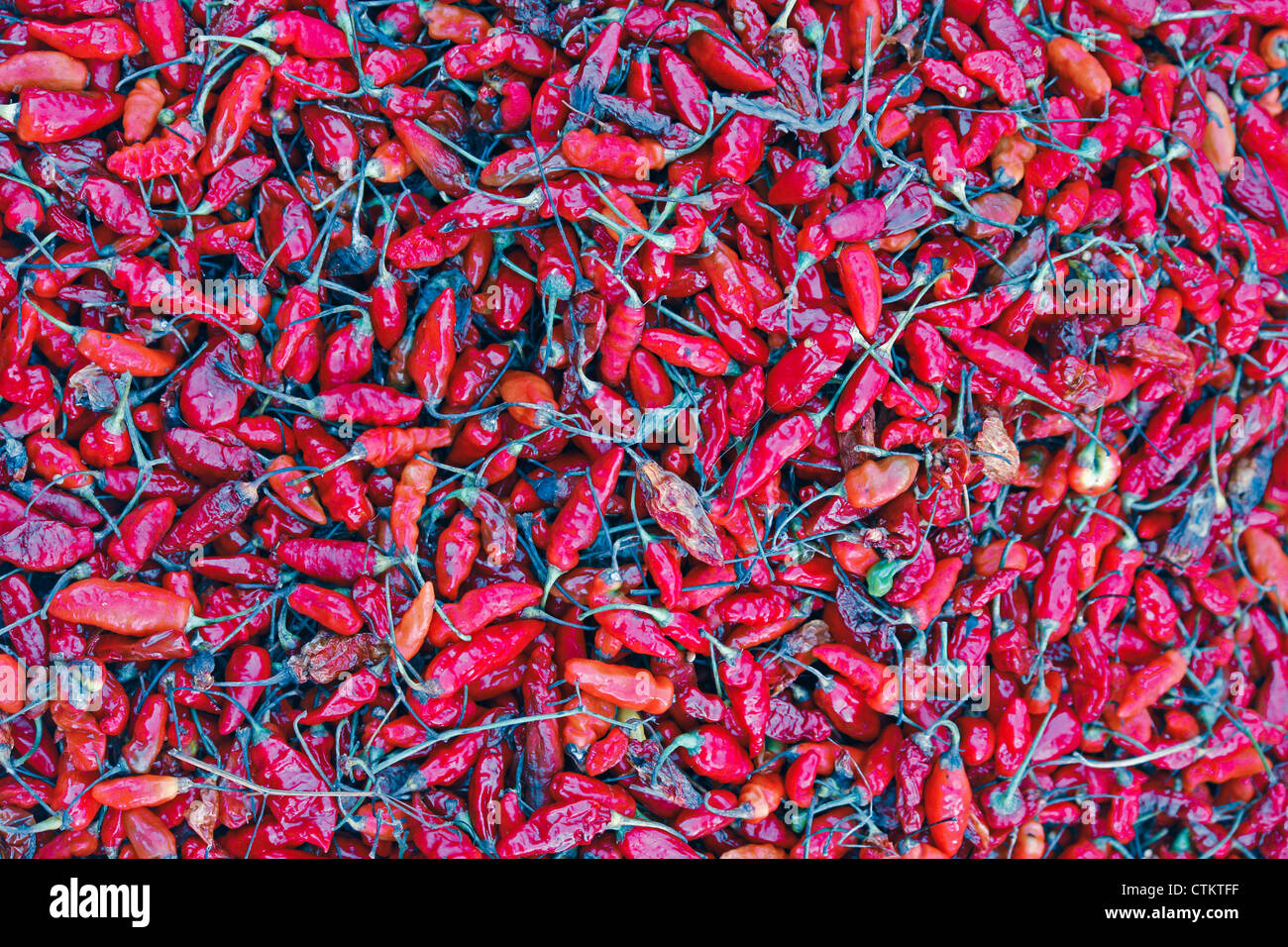 Paprika capsicum annuum hi-res stock photography and images - Alamy