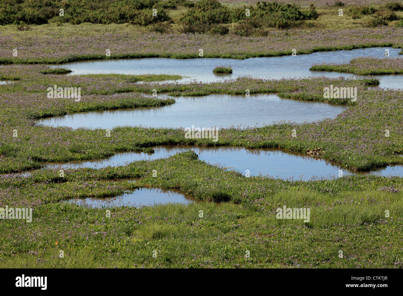 Tidal feature hi-res stock photography and images - Alamy