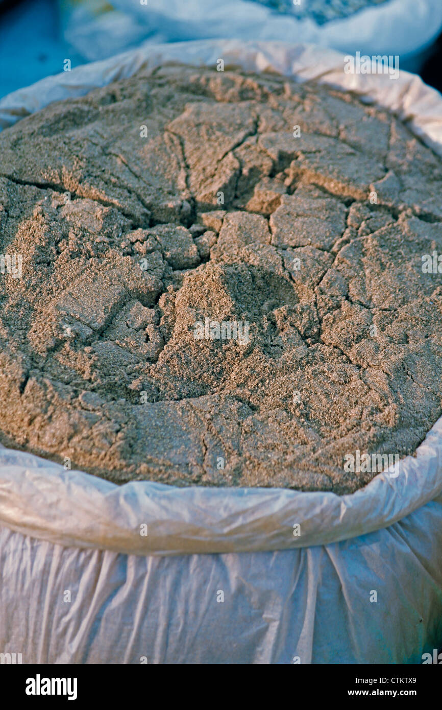 Dhania powder hi-res stock photography and images - Alamy