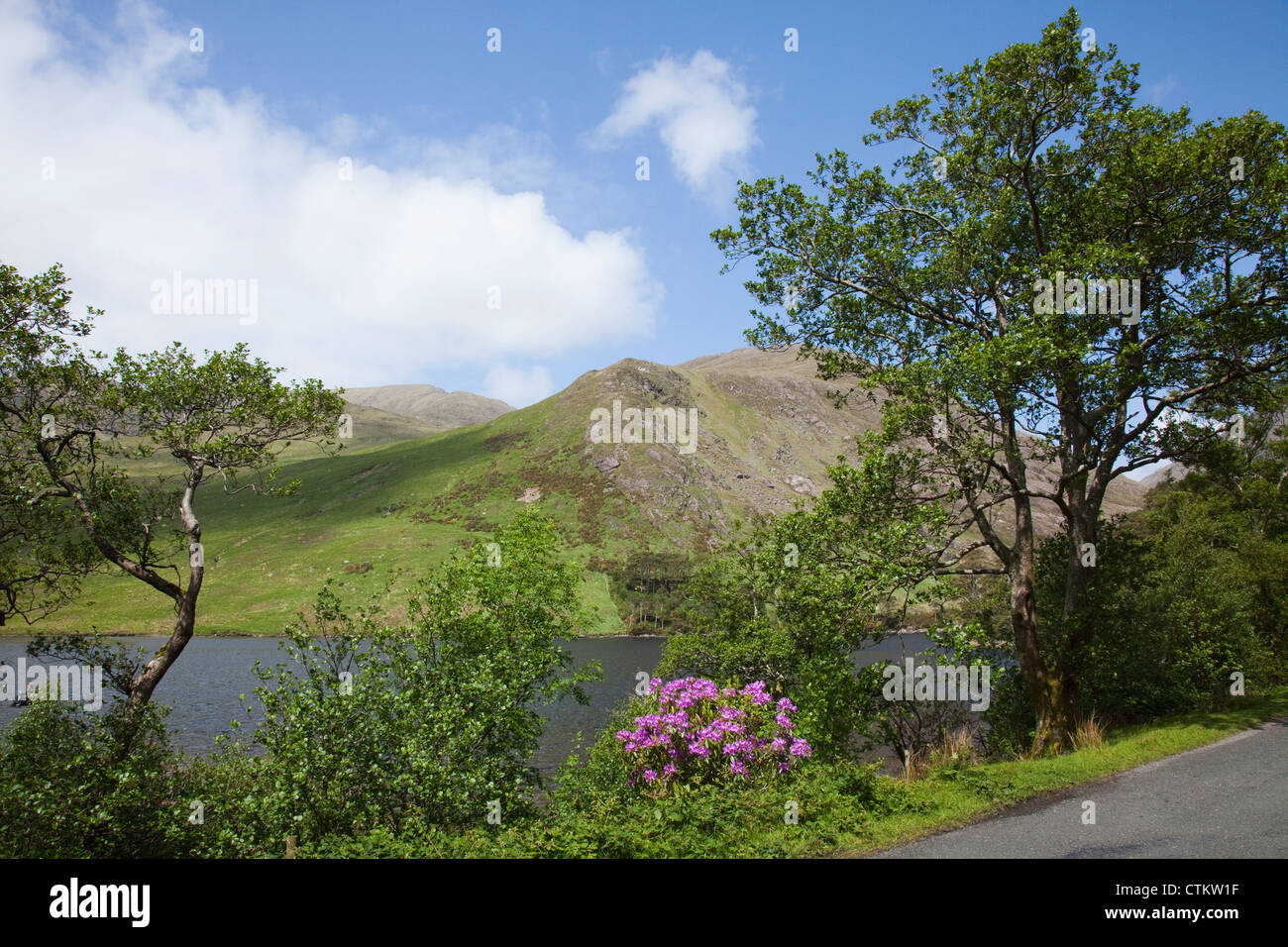 Connemara Landscape Near Delphi; County Mayo, Ireland Stock Photo - Alamy
