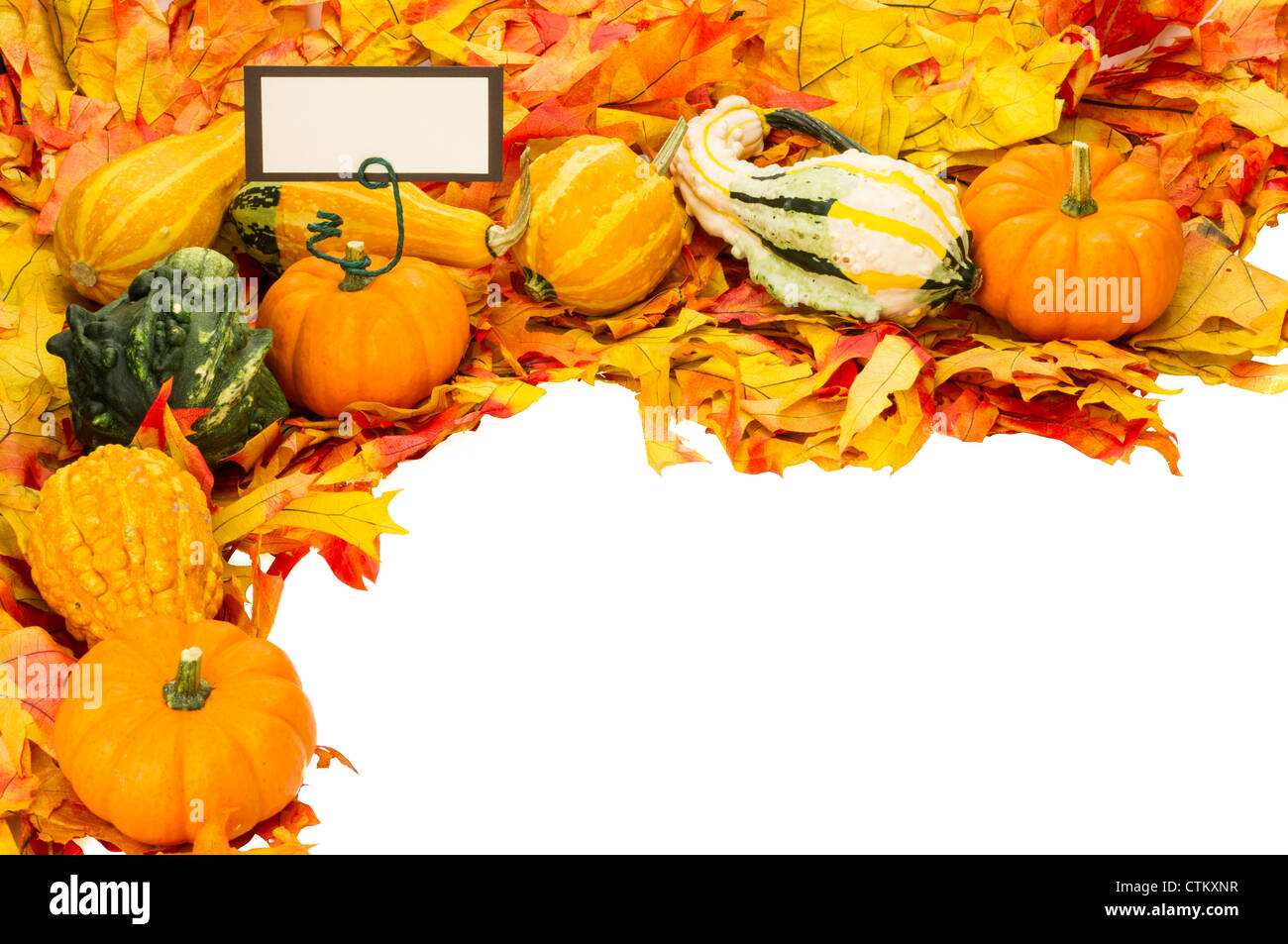 Fall border hi-res stock photography and images - Alamy
