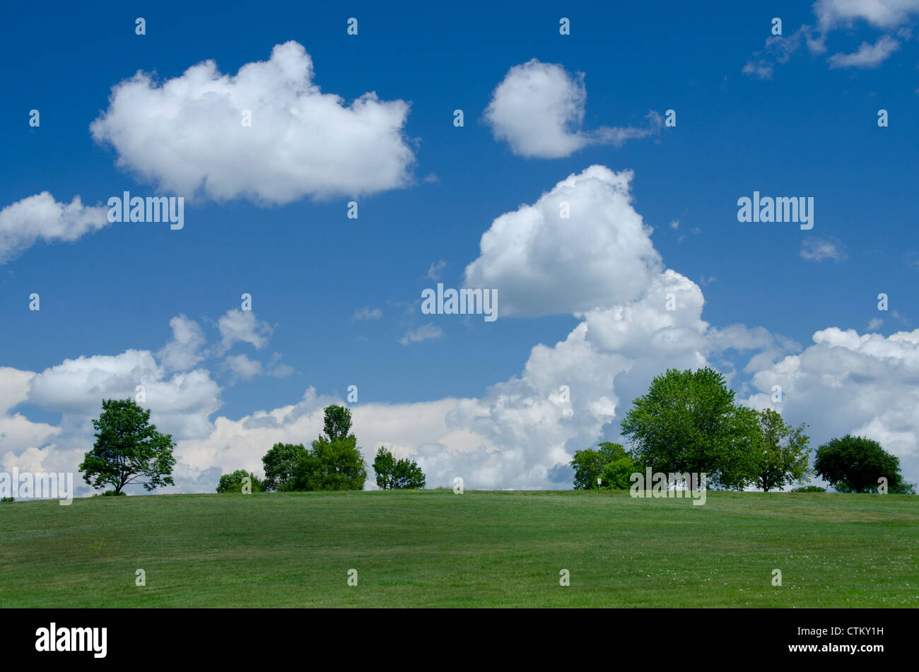Canada, Ontario, Kingston. Open field with tree Stock Photo - Alamy