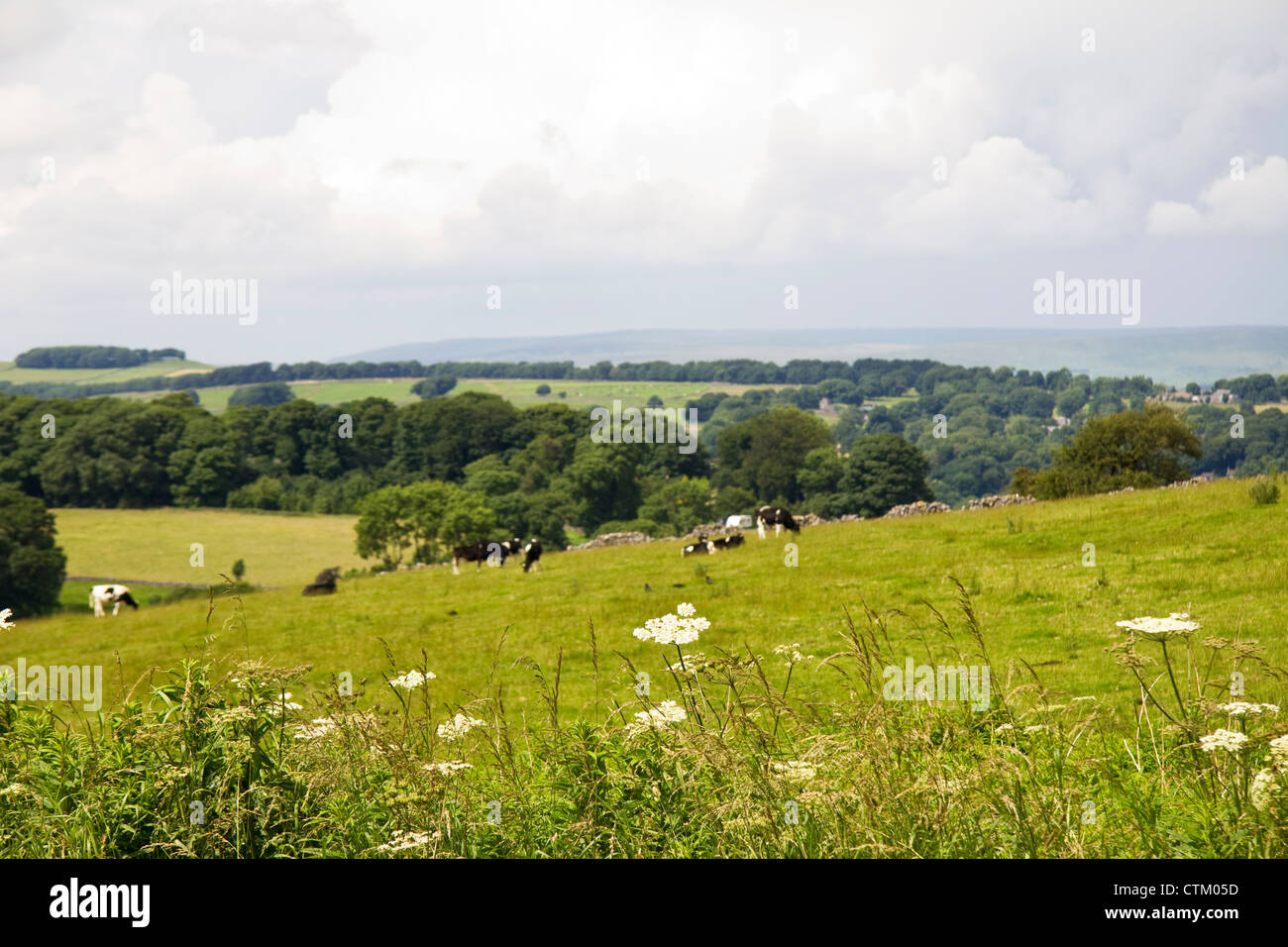 Derbyshire countryside, England, UK Stock Photo - Alamy