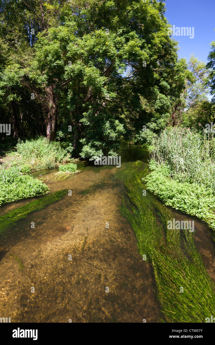 The River Piddle at Briantspuddle, Dorset Stock Photo - Alamy