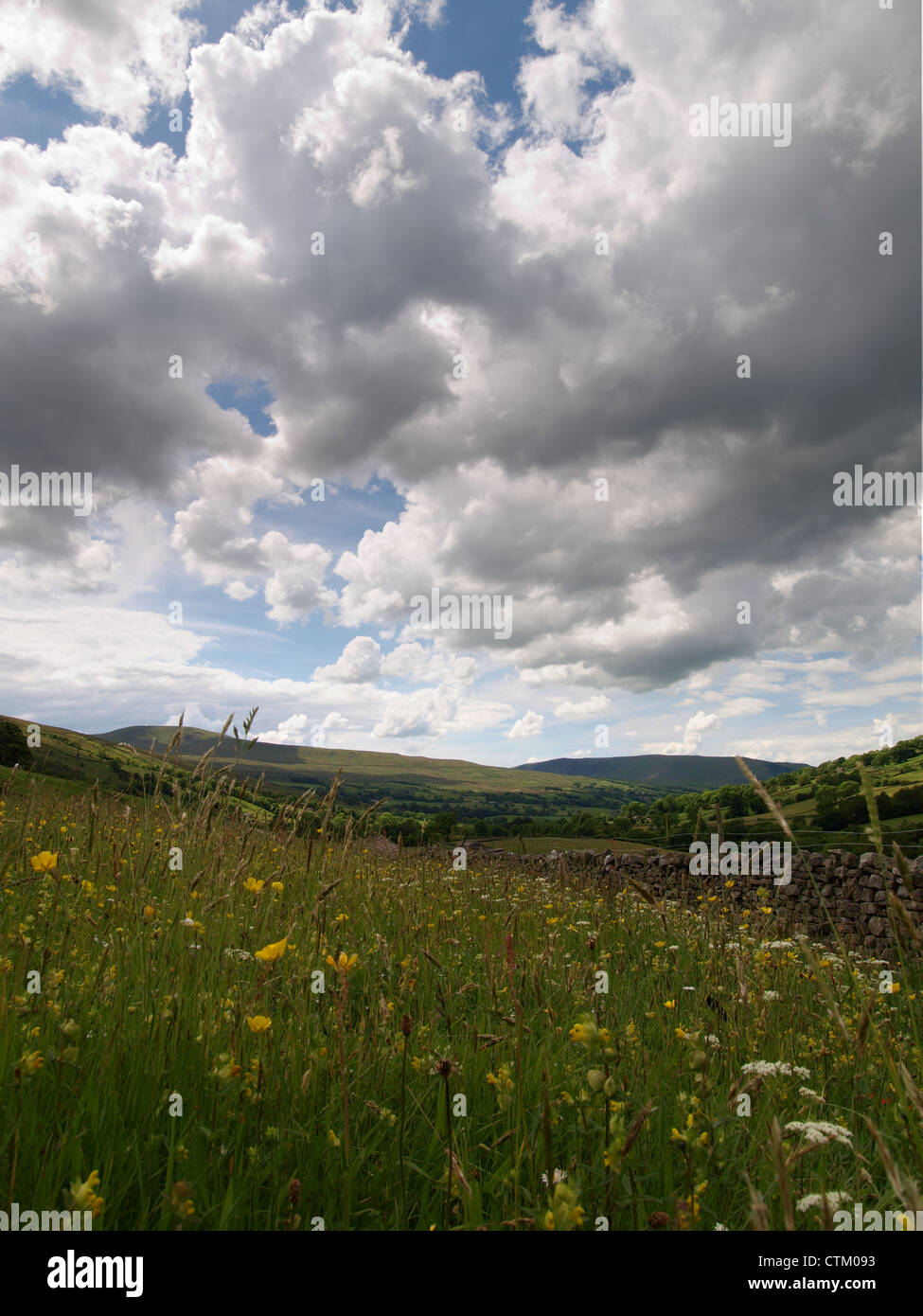 Wildflower meadow walk uk hi-res stock photography and images - Alamy