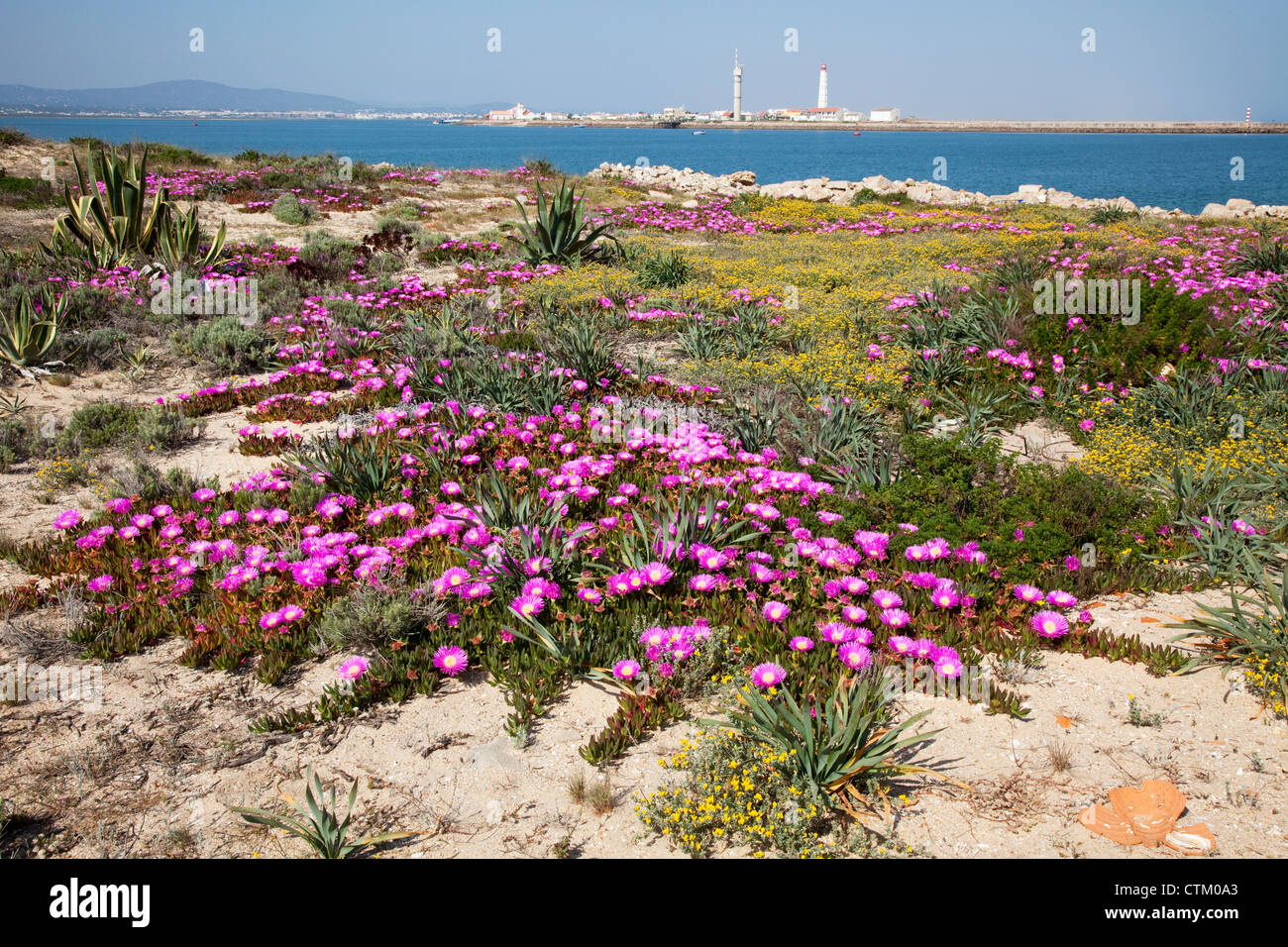 Barreta island portugal hi-res stock photography and images - Alamy
