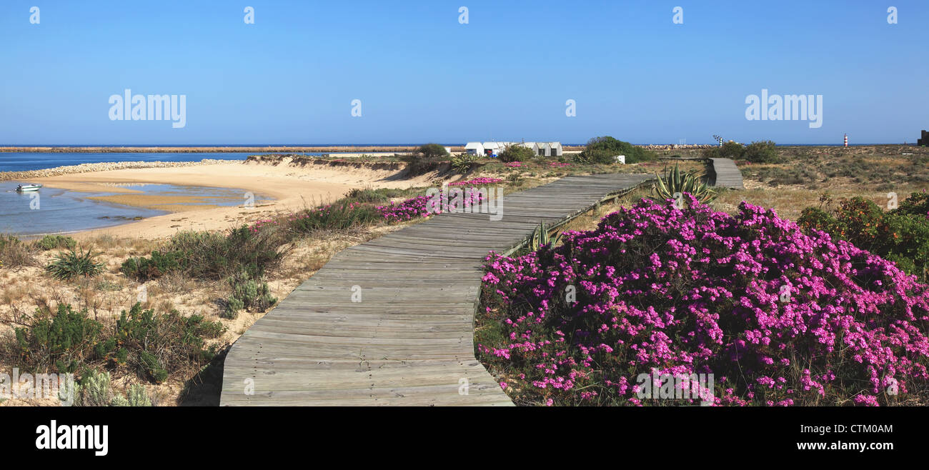 Barreta island portugal hi-res stock photography and images - Alamy