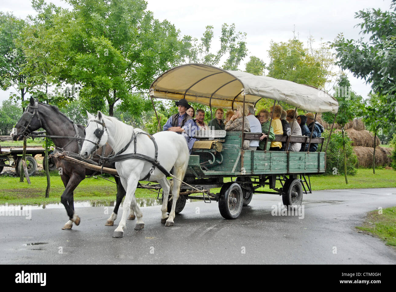 Wagon ride at a horse show on a farm in the Puszta near Kalocsa ...