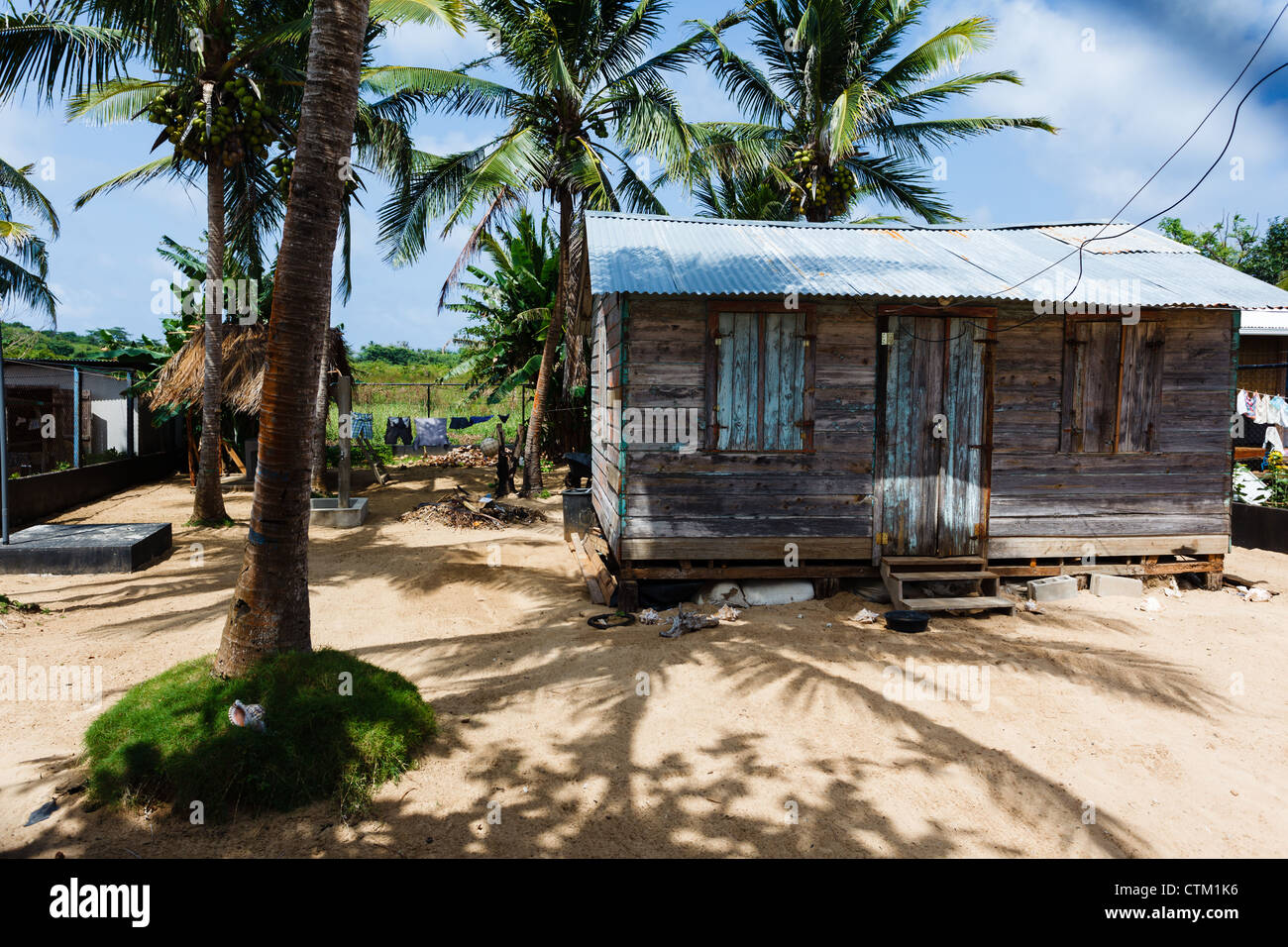 Little wooden house among palm trees and shadows Stock Photo - Alamy