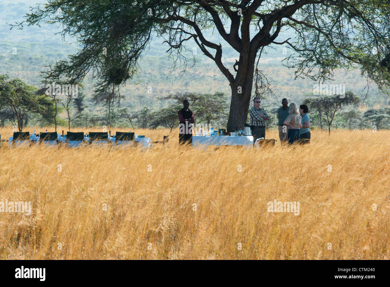 Safari breakfast hi-res stock photography and images - Alamy