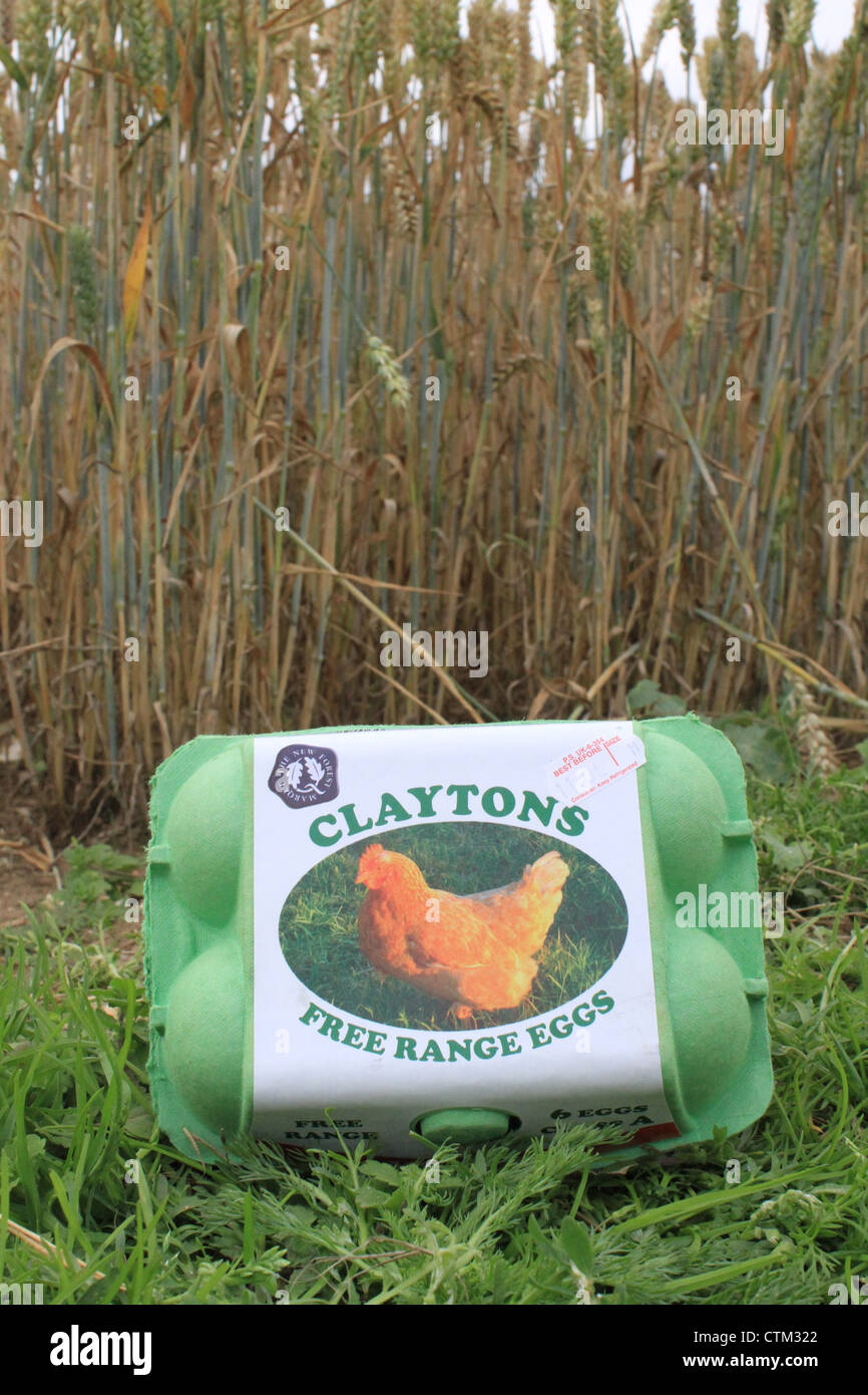 Free Range Egg Box Stock Photo - Alamy